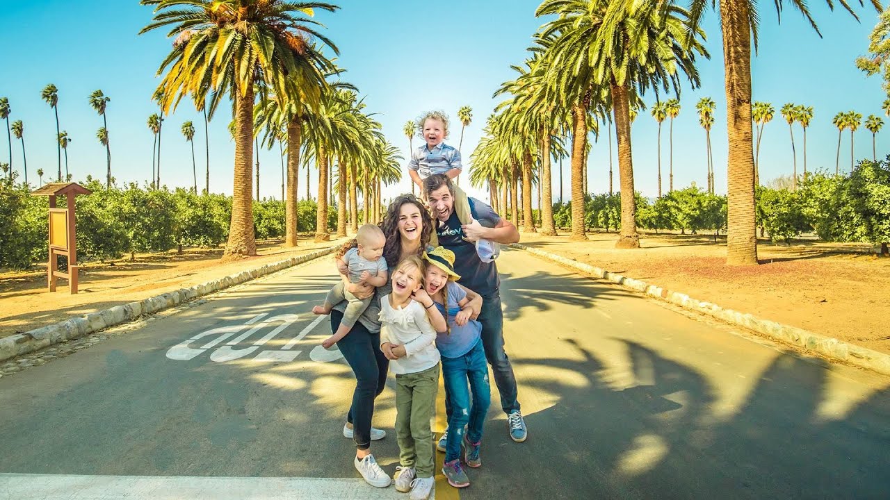 A Guide to the Top YouTubers on Yippee TV